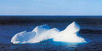 The tip of the iceberg is exhibited in Berne - SWI swissinfo.ch