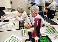 Disetronic boosts sales - SWI swissinfo.ch