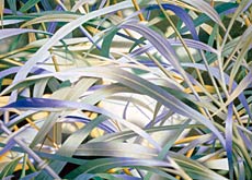 Grandiose, le Museum Franz Gertsch! - SWI swissinfo.ch