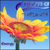 Carma: Sunflower - SWI swissinfo.ch