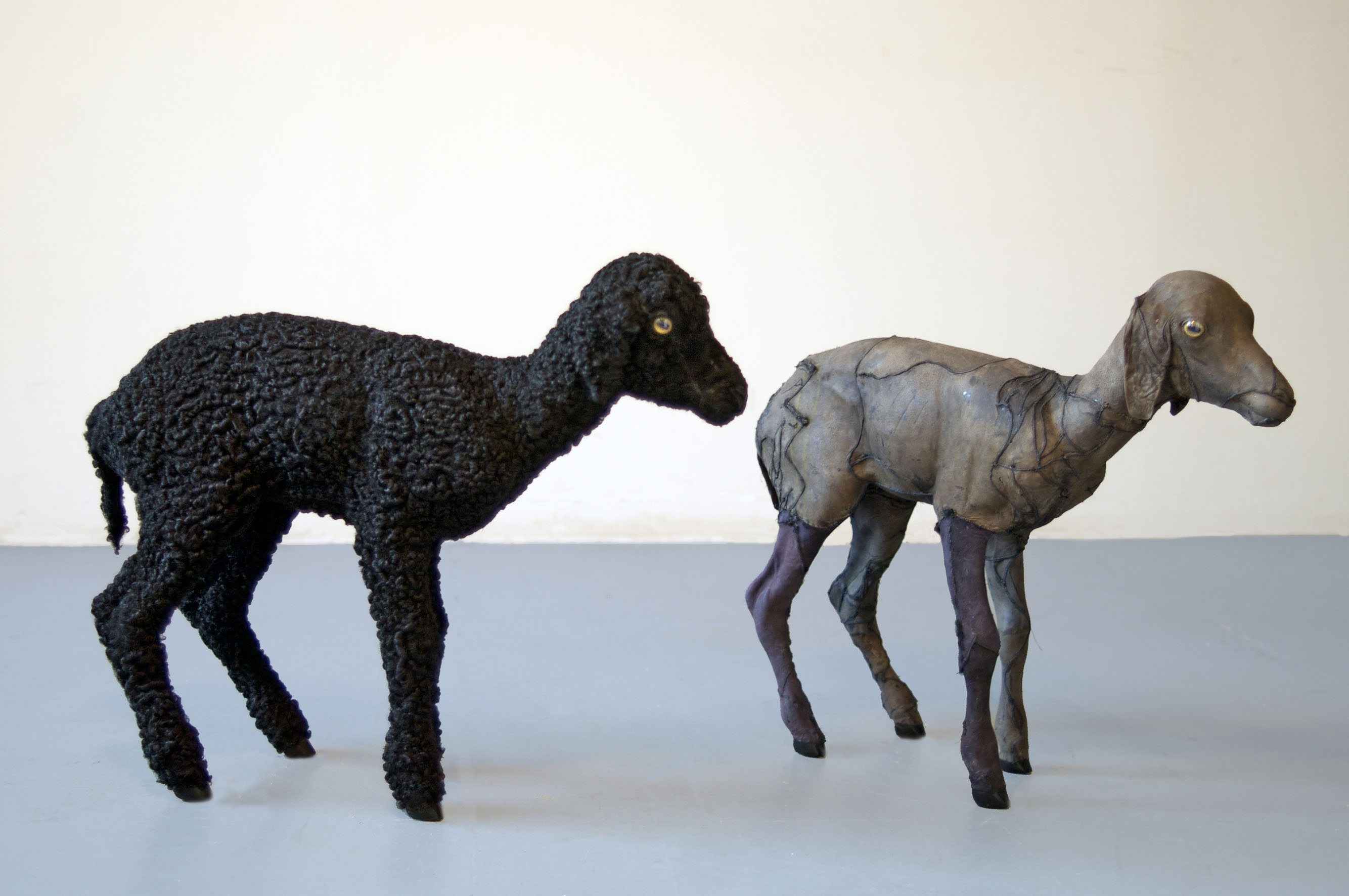 Referenz und Neigung - SWI swissinfo.ch