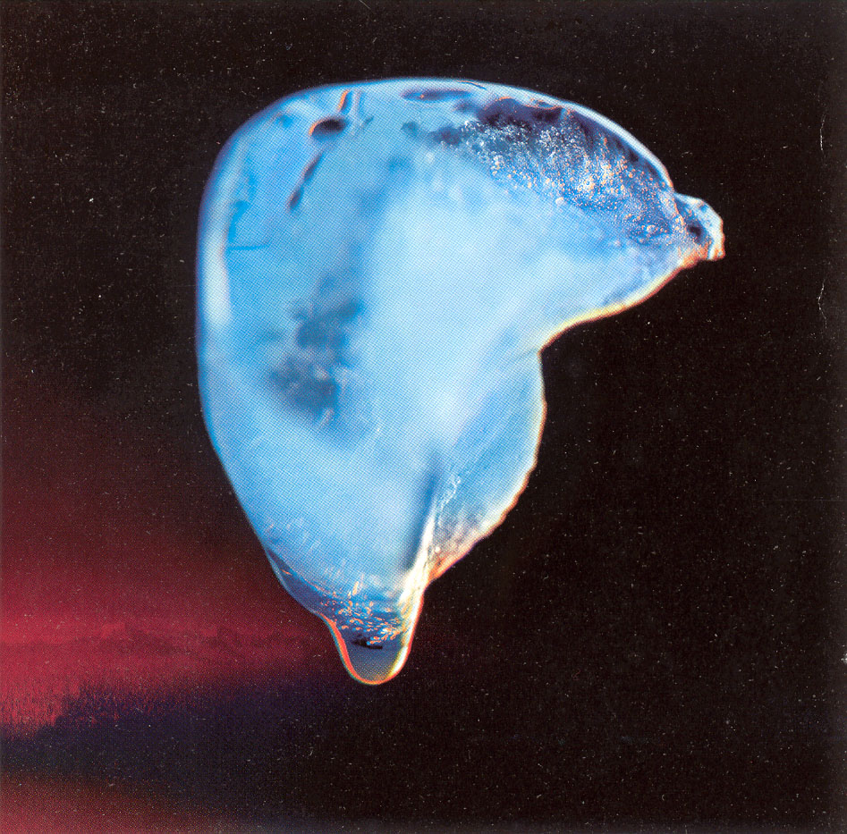 Christian Zehnder Quartet: Schmelz (Melt) - SWI swissinfo.ch