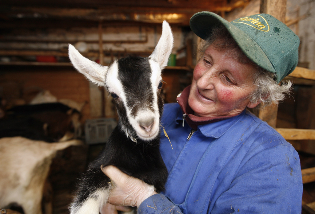 Young vs old, man vs woman, human vs livestock - SWI swissinfo.ch