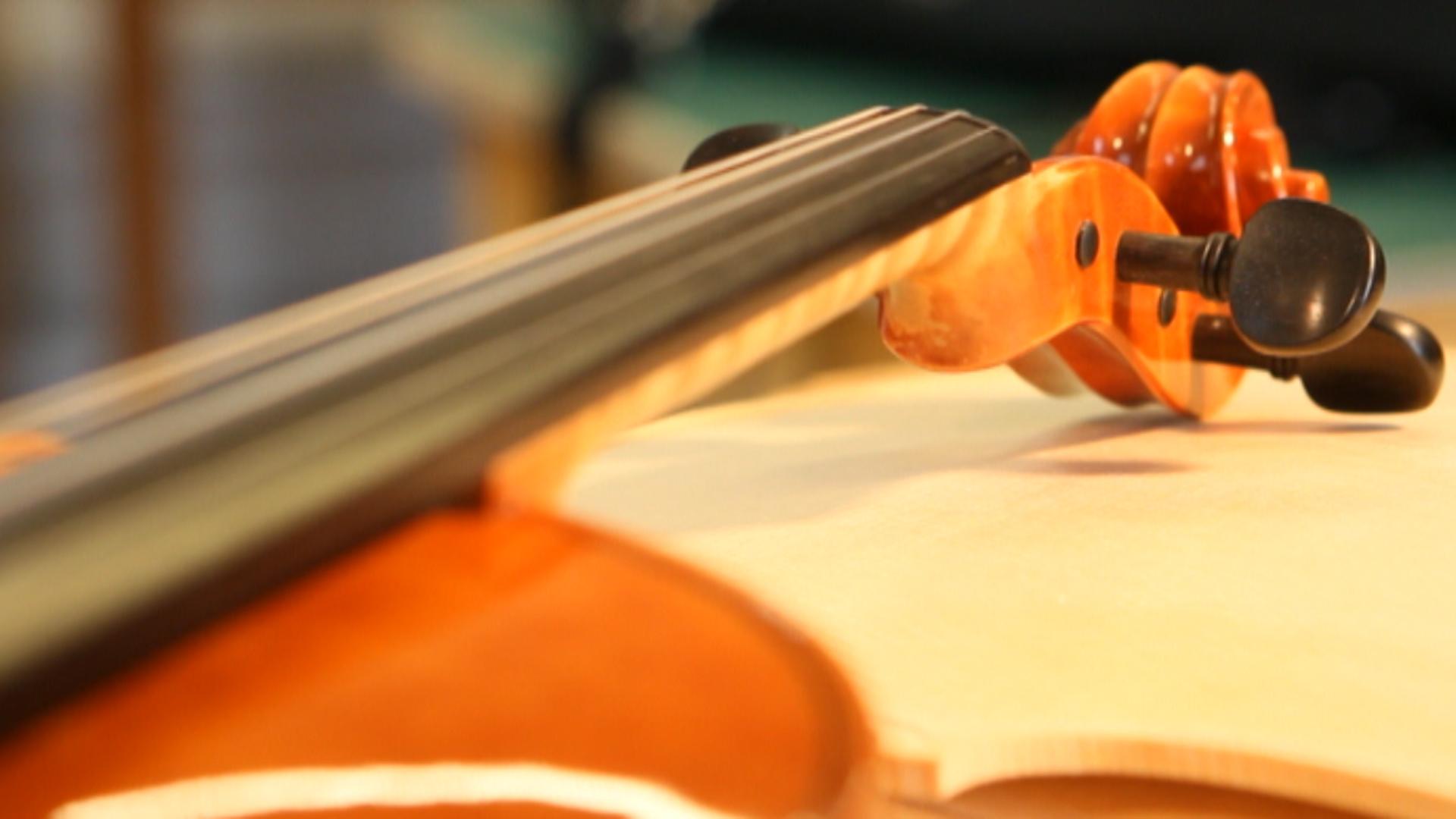 Making a string quartet out of one tree - SWI swissinfo.ch