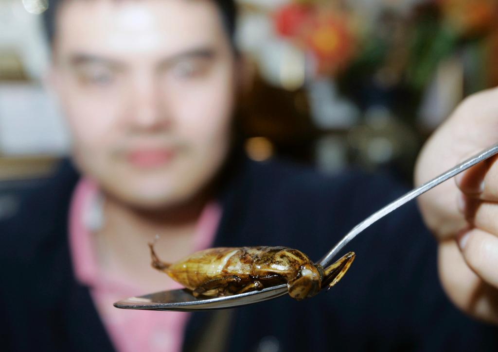 Women in film, Burkhalter in Cuba, and bugs in your food - SWI swissinfo.ch