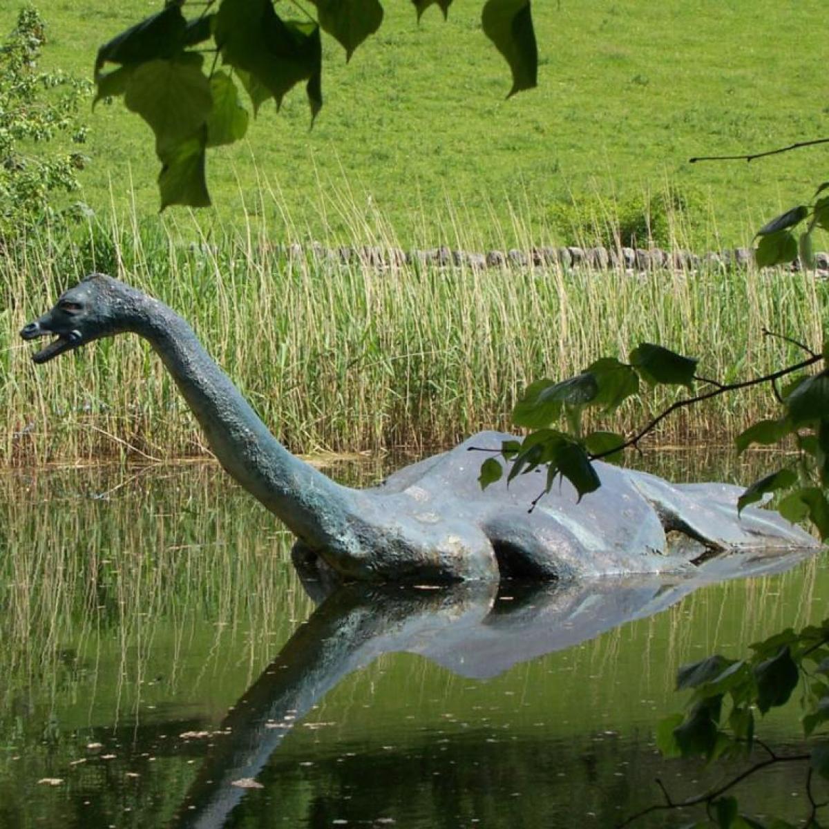 Monstres Marins Dans La Vraie Vie