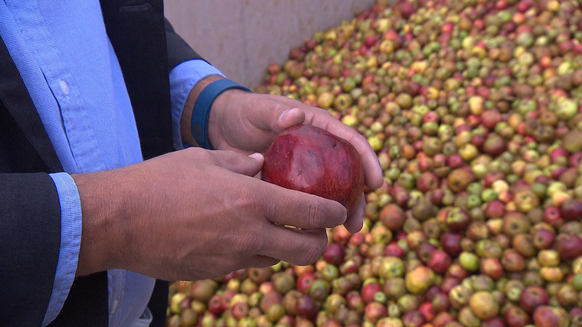 A nation’s thirst for organic apple juice - SWI swissinfo.ch