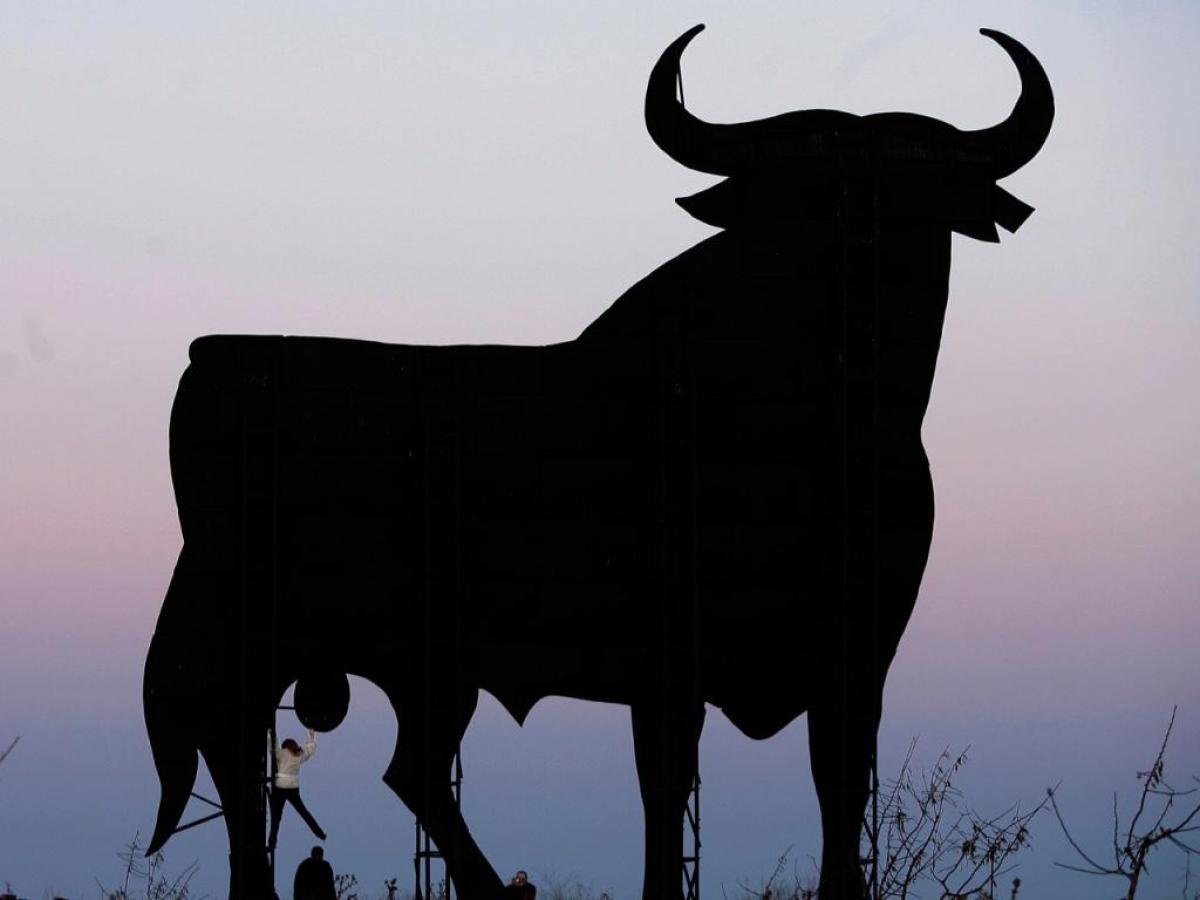 Contorno Del Toro Spagnolo Spanish Typical Food: BULL TAIL!