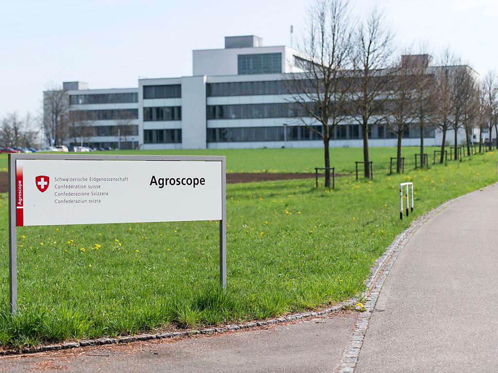 La station de recherche Agroscope devrait être renforcée - SWI swissinfo.ch