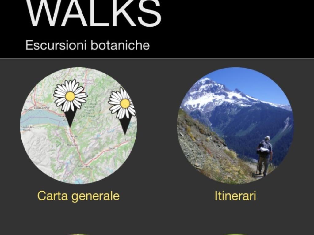 Flower Walks: scoprire piante e fiori camminando, anche in Ticino - SWI ...