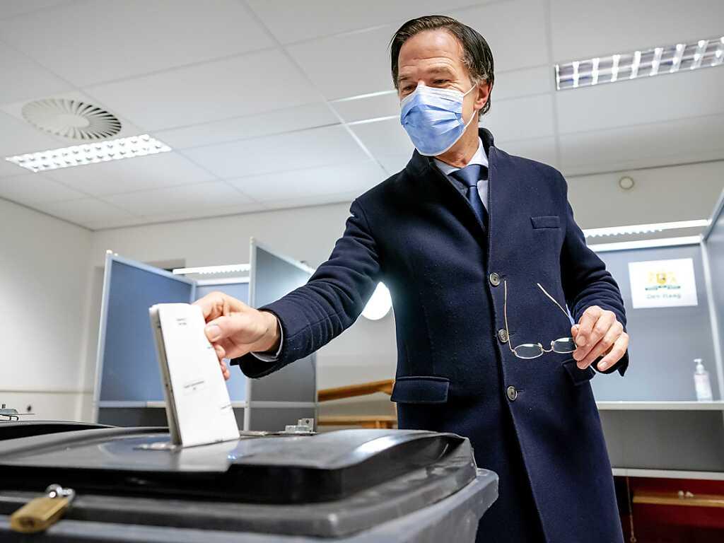 Parlamentswahl in den Niederlanden - Mit wem regiert Rutte? - SWI ...