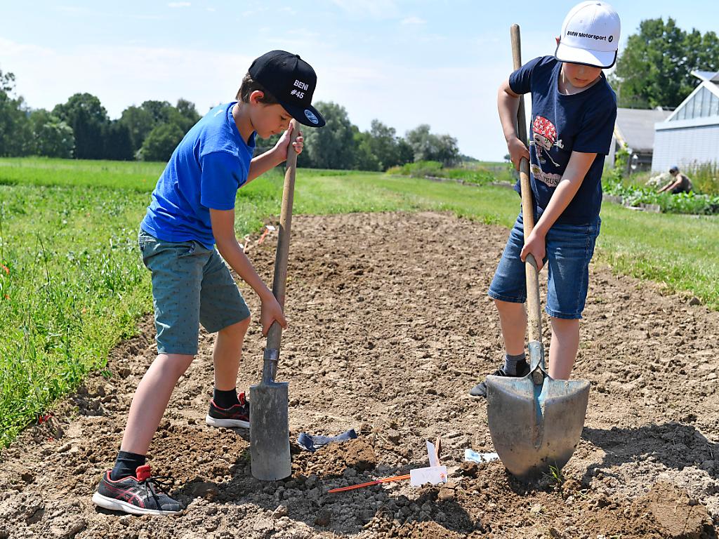 Ein schlummerndes Potential für Mitmach-Forschung - SWI swissinfo.ch