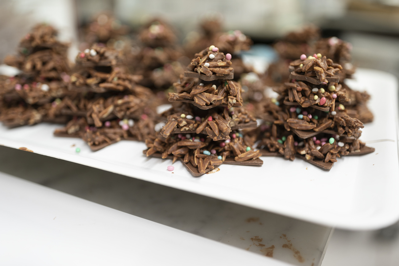 Switzerland Today - SWI swissinfo.ch