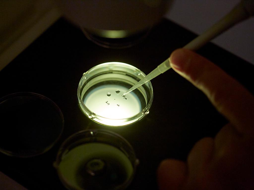 La légalisation du don d'ovules revient sur la table - SWI swissinfo.ch