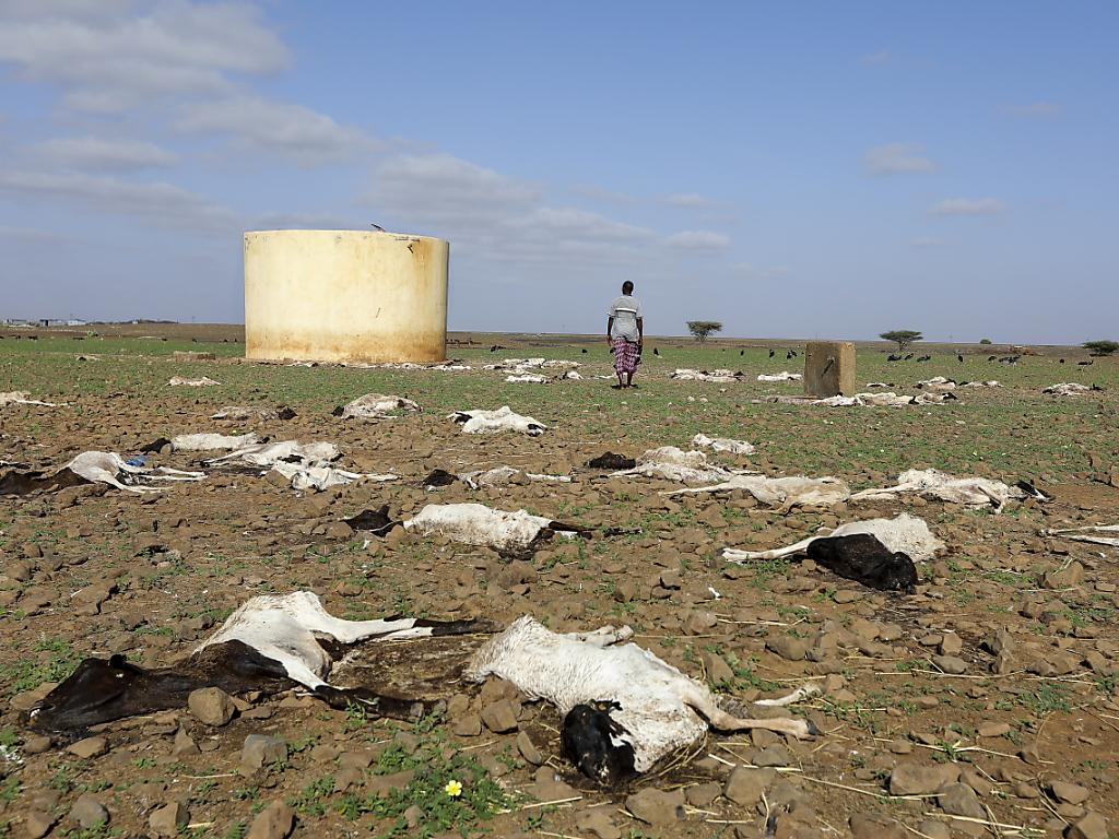 GIEC: la capacité d'adaptation humaine de plus en plus dépassée - SWI ...