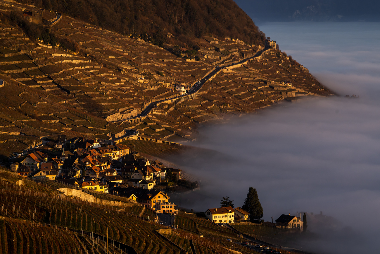 Switzerland Today - SWI swissinfo.ch