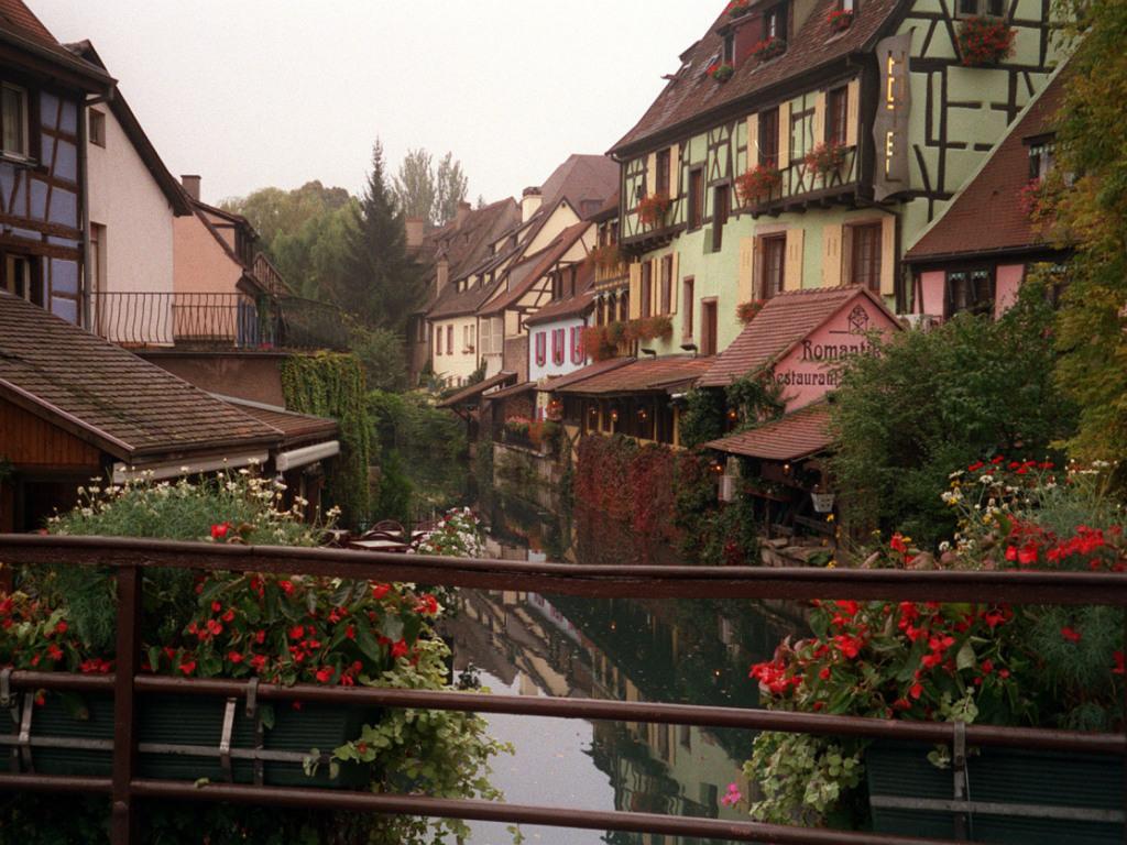 Colmar en appelle à la population pour sauver ses fleurs - SWI swissinfo.ch