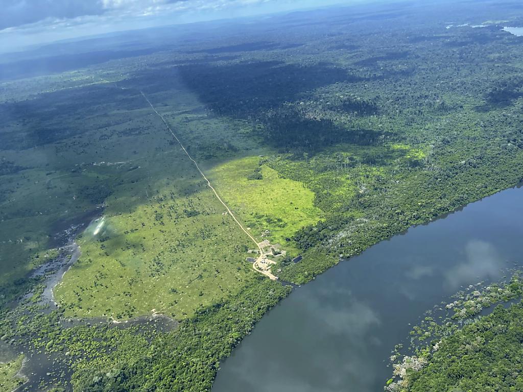 Indigener im Amazonasgebiet stirbt nach 26 Jahren in Isolation - SWI ...