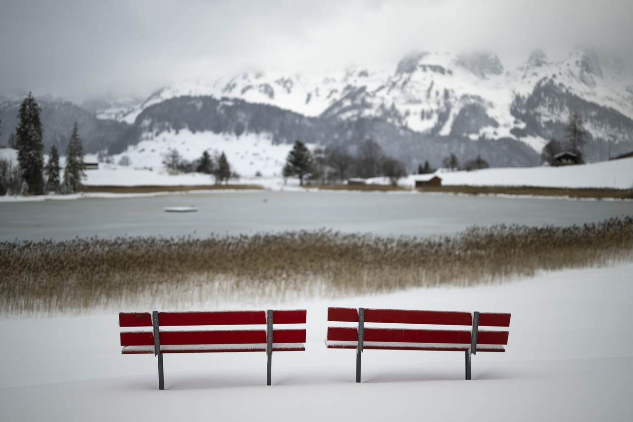 Switzerland Today - SWI swissinfo.ch