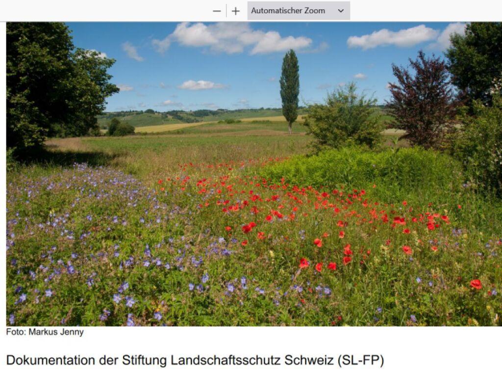 SH: Klettgau è Paesaggio dell'anno 2023 - SWI swissinfo.ch