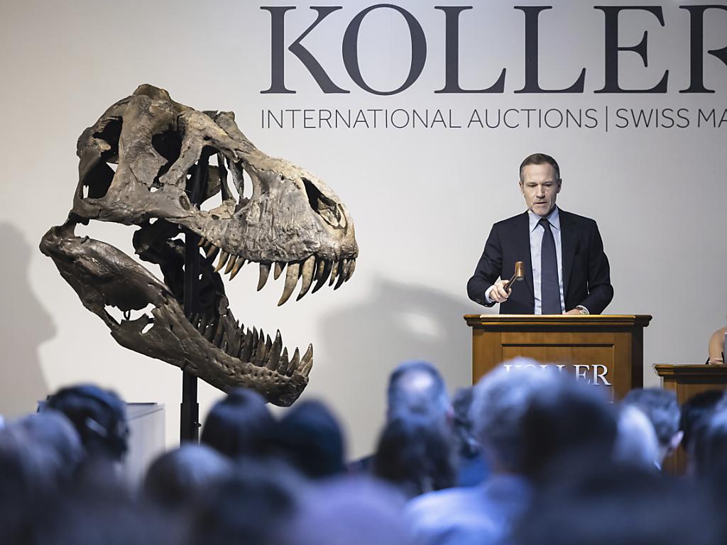 T-Rex-Skelett "Trinity" für 4,8 Millionen Franken versteigert - SWI ...