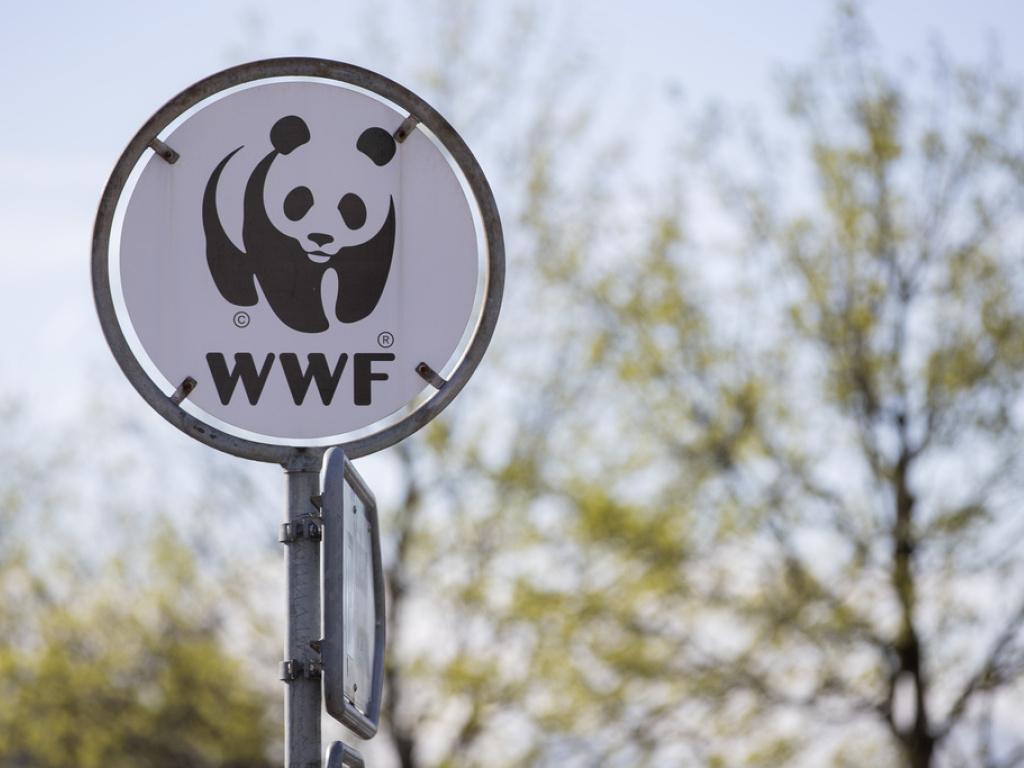 La Russia mette al bando il Wwf - SWI swissinfo.ch