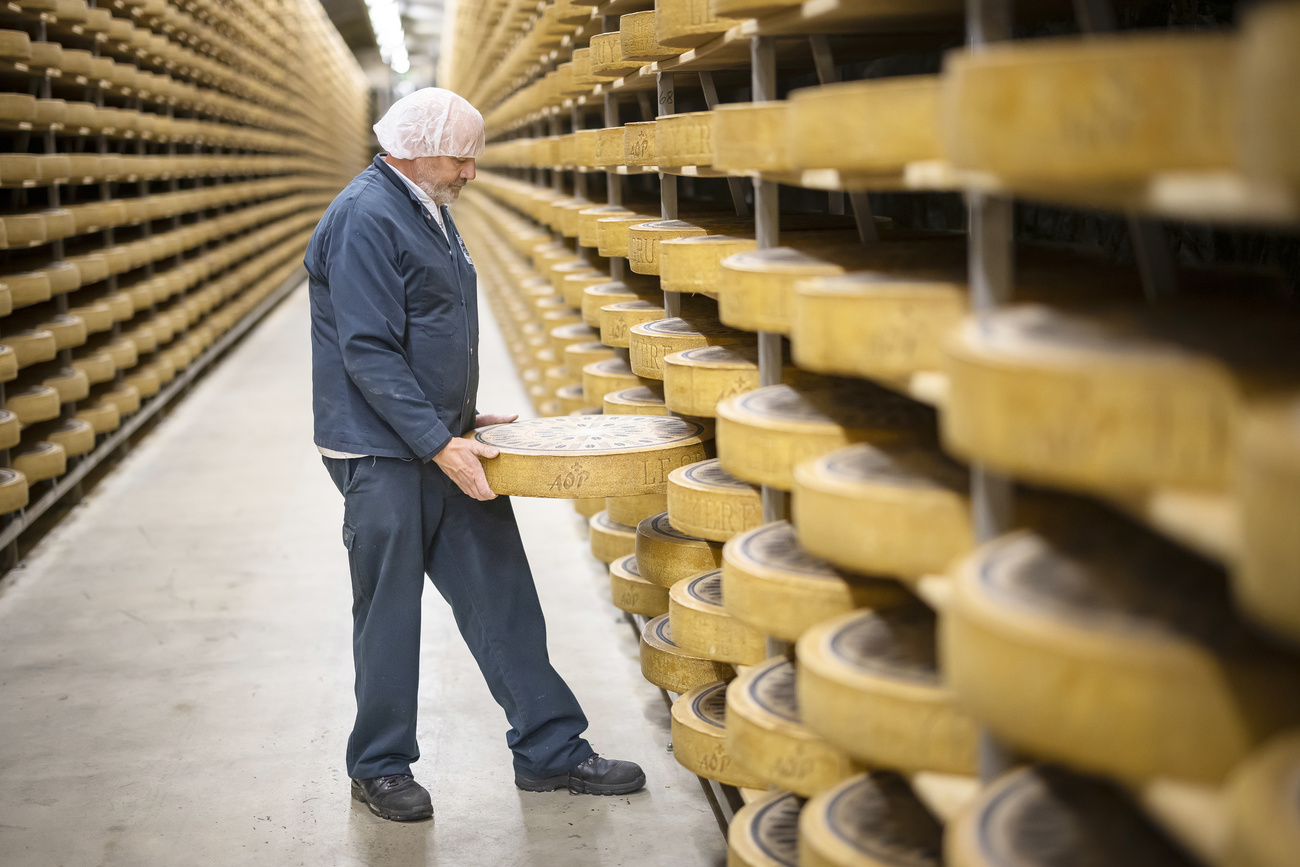 Switzerland Today - SWI swissinfo.ch