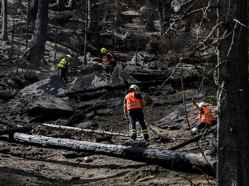 Incendie de forêt à Bitsch (VS): vers un retour à la normale - SWI ...