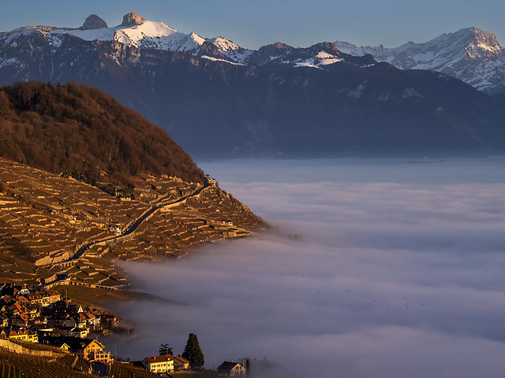 Vaud veut améliorer sa notoriété et son attractivité - SWI swissinfo.ch