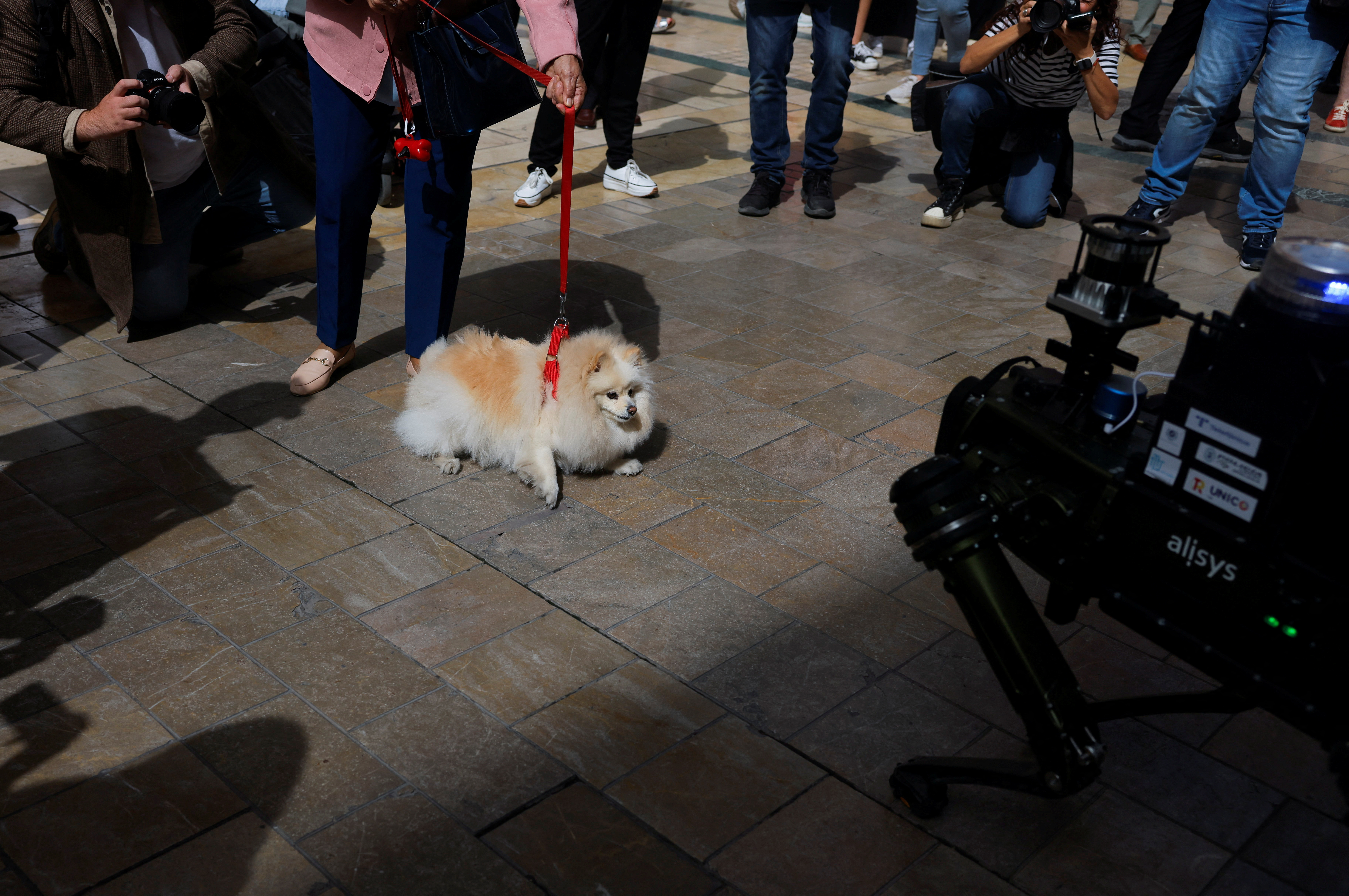 Police parade 'robo-dog' helper in Spain's Malaga - SWI swissinfo.ch