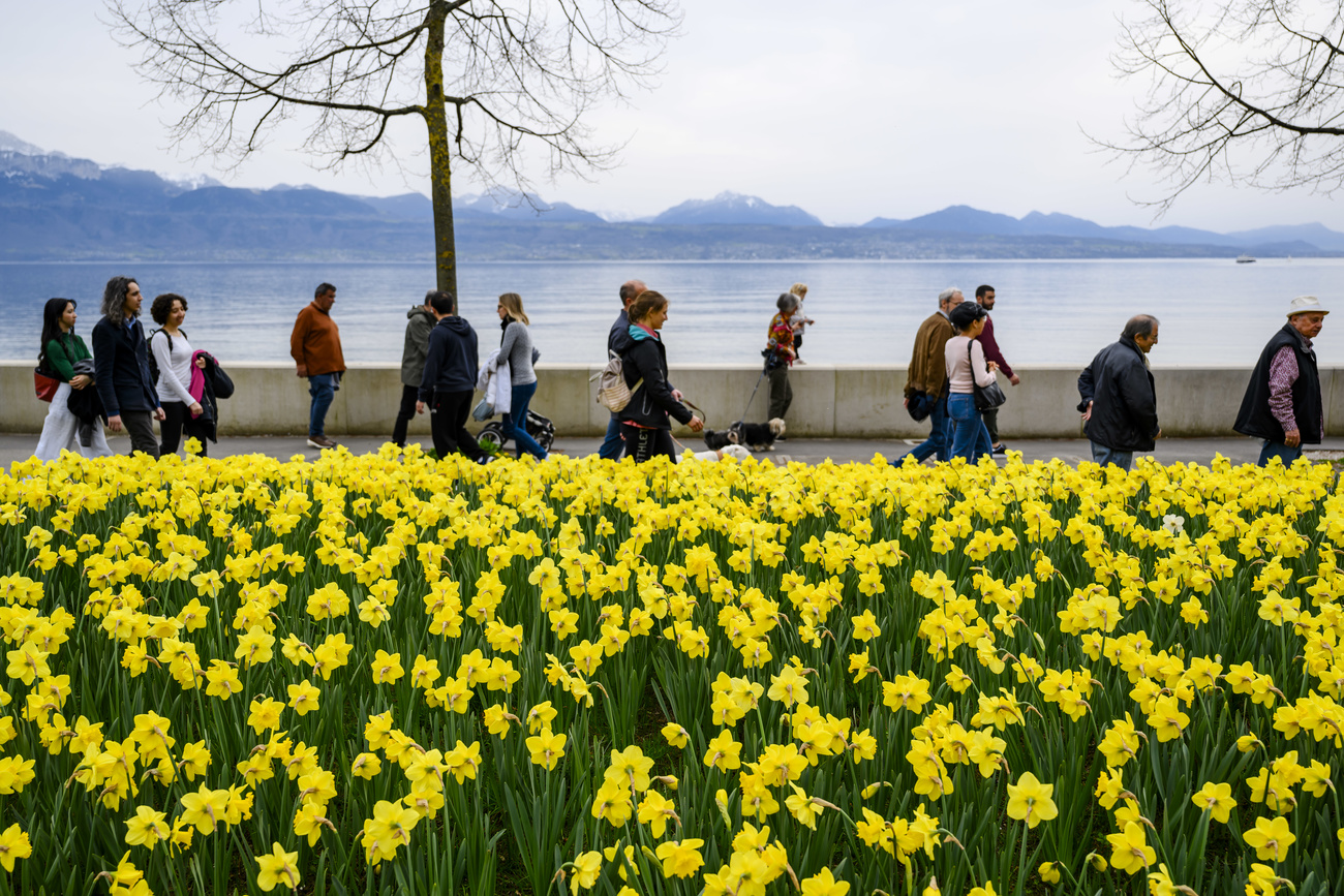 News from Switzerland Today - SWI swissinfo.ch