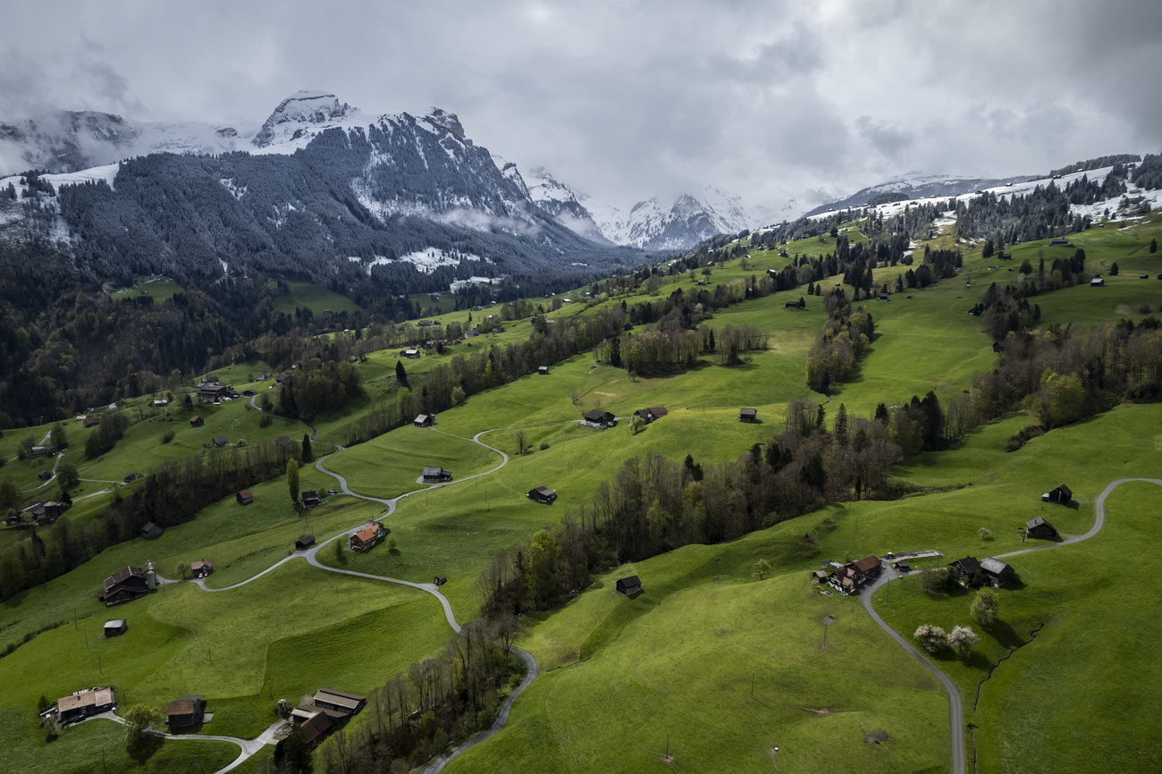 News from Switzerland Today - SWI swissinfo.ch