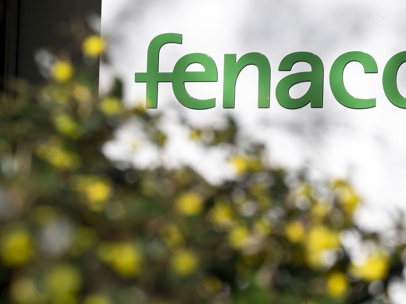 Fenaco erzielt 2023 wegen hoher Kosten tieferen Betriebsgewinn - SWI ...