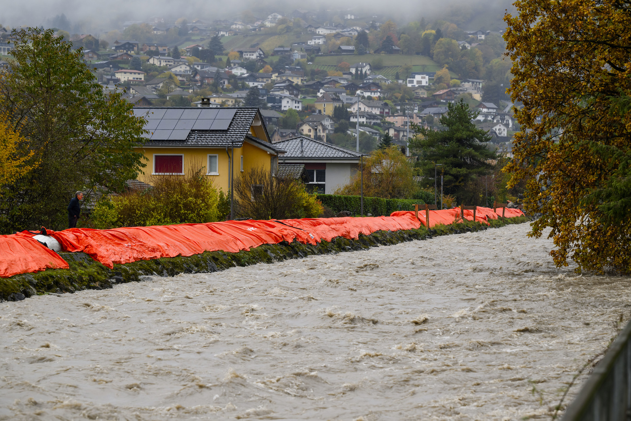 Switzerland Today - SWI swissinfo.ch