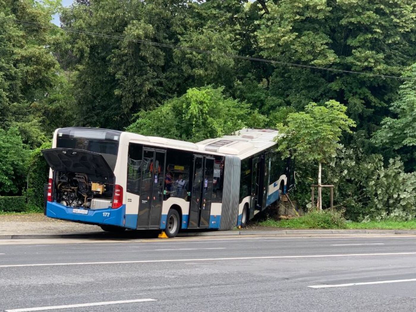 Un bus de ligne termine sa course contre un arbre à Lucerne - SWI swissinfo.ch