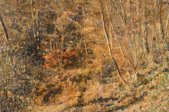 Franz Gertsch, una obra monumental - SWI swissinfo.ch