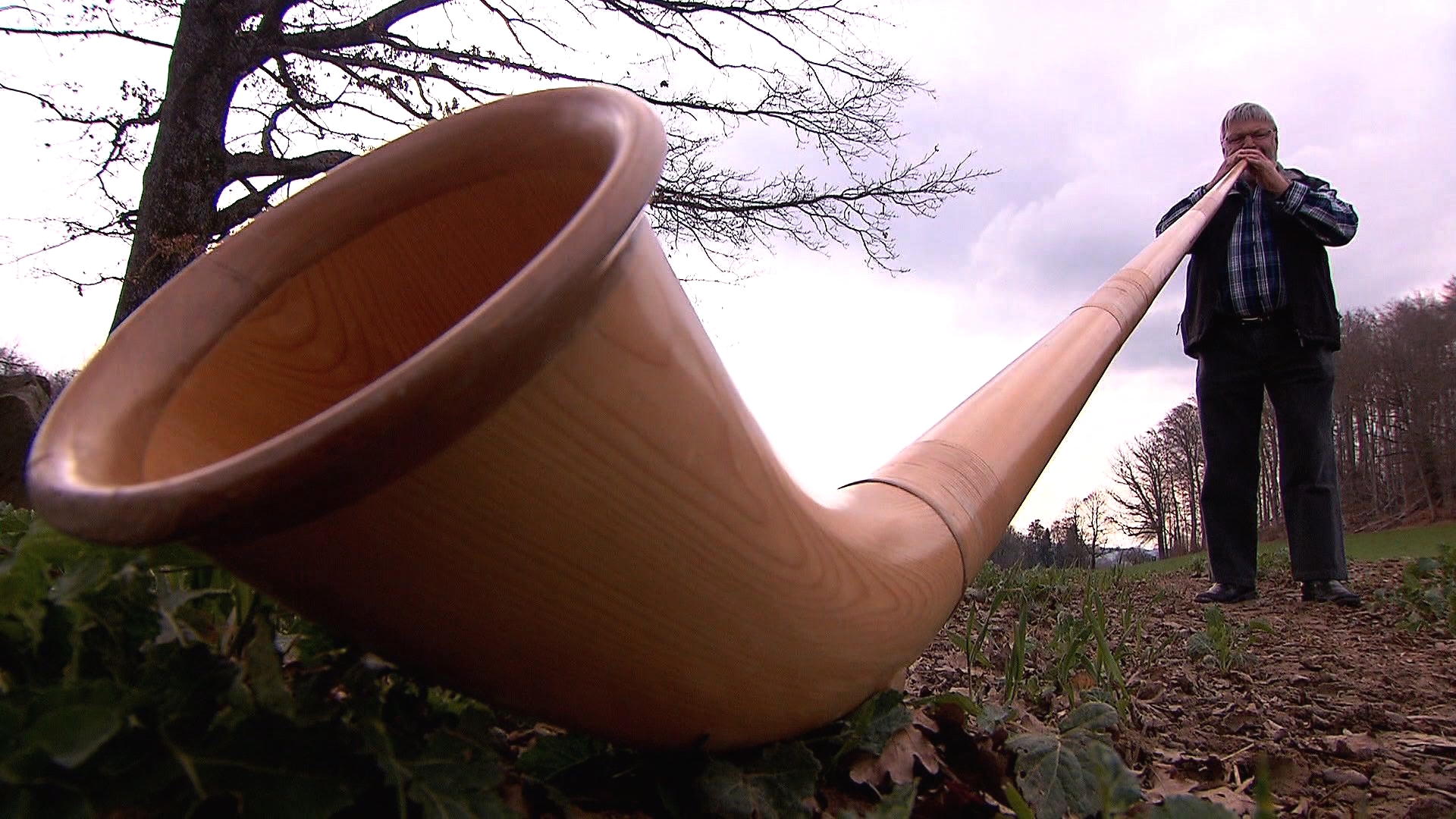 Is playing the alphorn good for your health? - SWI swissinfo.ch