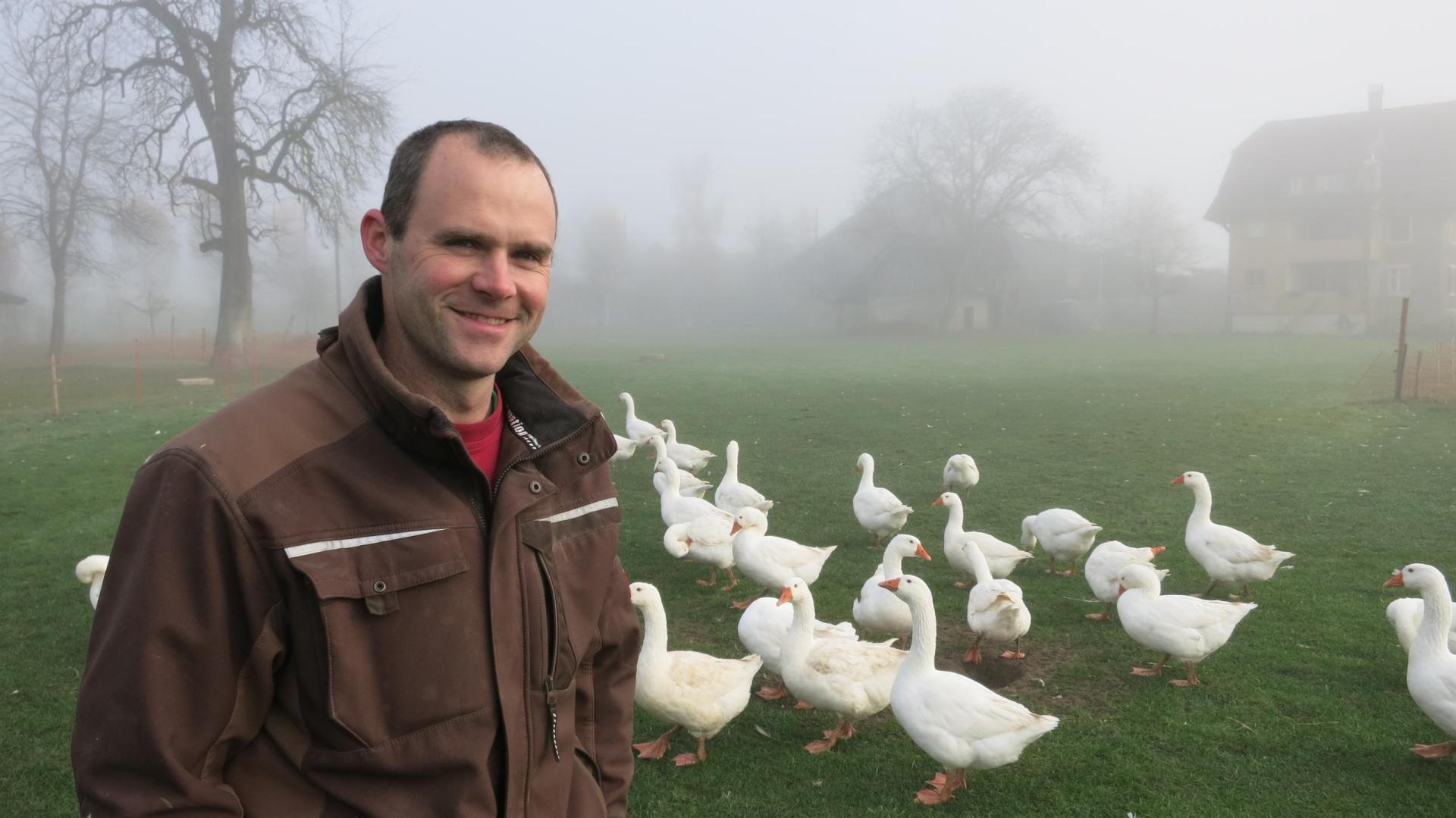 Where the goose is getting fat – naturally - SWI swissinfo.ch