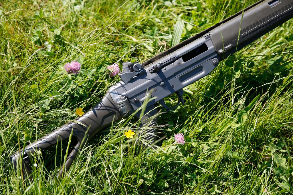 EU won’t ban Swiss army rifles at home - SWI swissinfo.ch