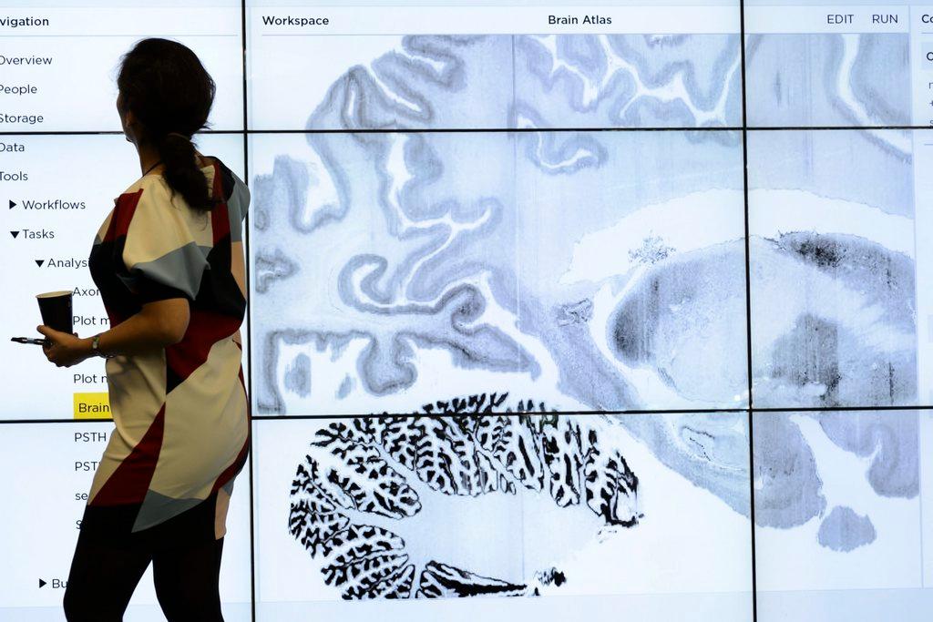 Human Brain Project hits milestone - SWI swissinfo.ch