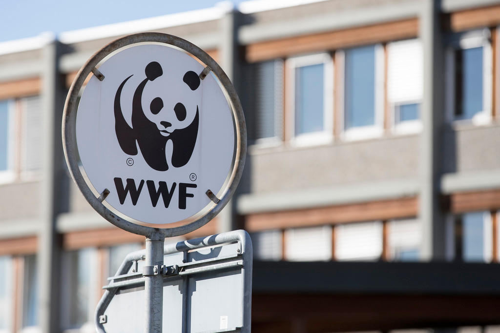 WWF to shift most Swiss-based staff abroad - SWI swissinfo.ch