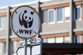 WWF to shift most Swiss-based staff abroad - SWI swissinfo.ch