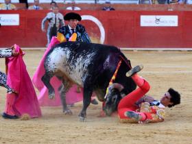 Mort d'un jeune torero après un coup de corne en Espagne - SWI swissinfo.ch