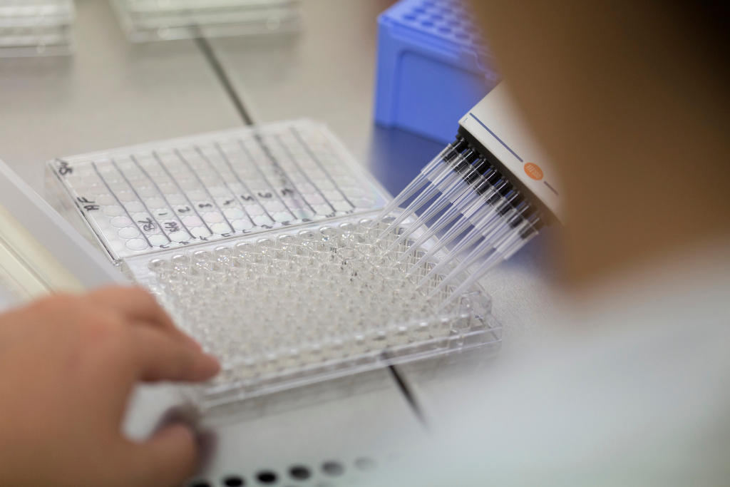 Swiss researchers secure 22 EU grants - SWI swissinfo.ch