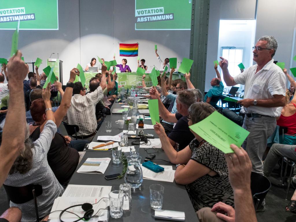 Grüne beschliessen Ja-Parole zur Ernährungssicherheit - SWI swissinfo.ch