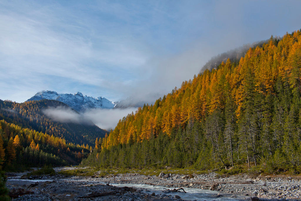 Swiss nature gets CHF80 million a year - SWI swissinfo.ch