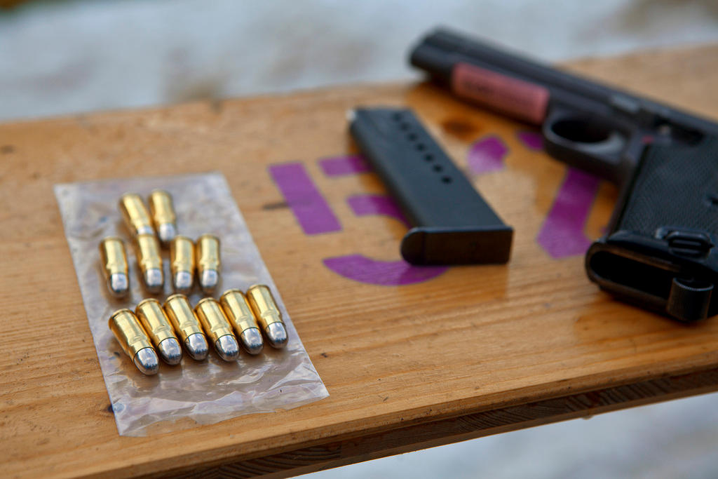Swiss government puts gun law reforms to parliament - SWI swissinfo.ch
