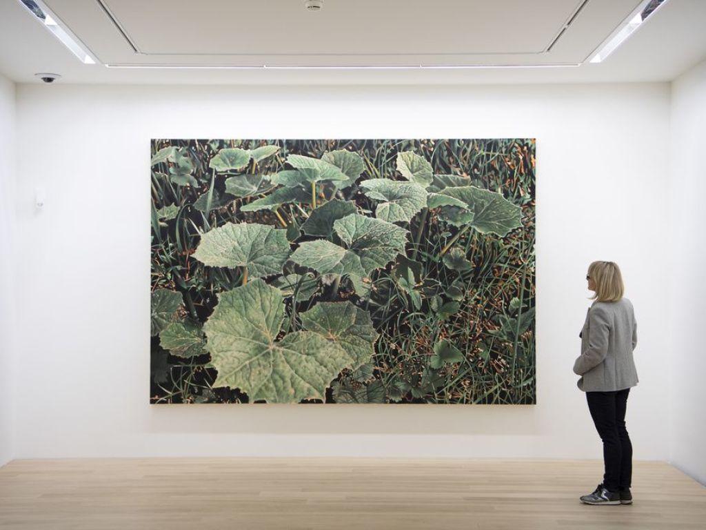 Museum Franz Gertsch mit Erweiterungsbau und neuem Gemälde - SWI swissinfo.ch