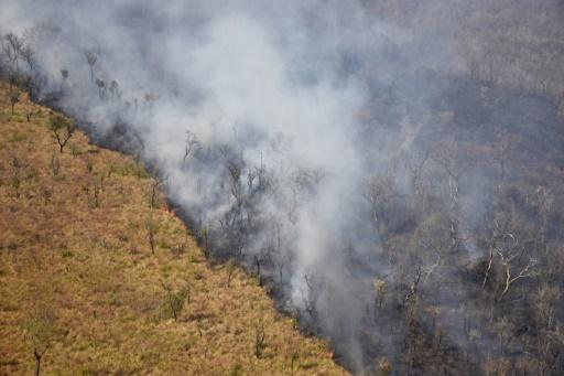 Incendios Forestales En Región De Bolivia Consumen 147 254 Hectáreas