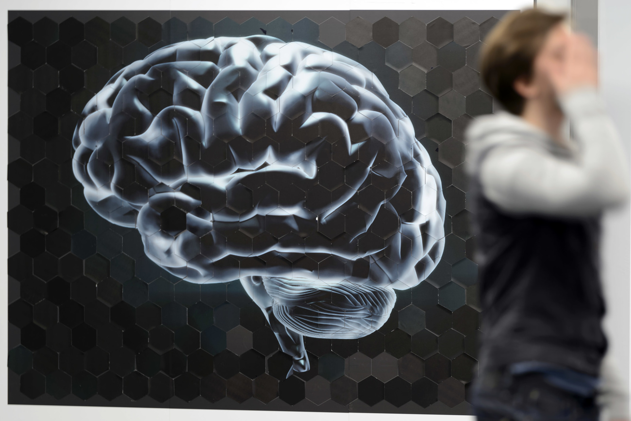 Brain fingerprints evolve and could help us tackle Alzheimer - SWI ...